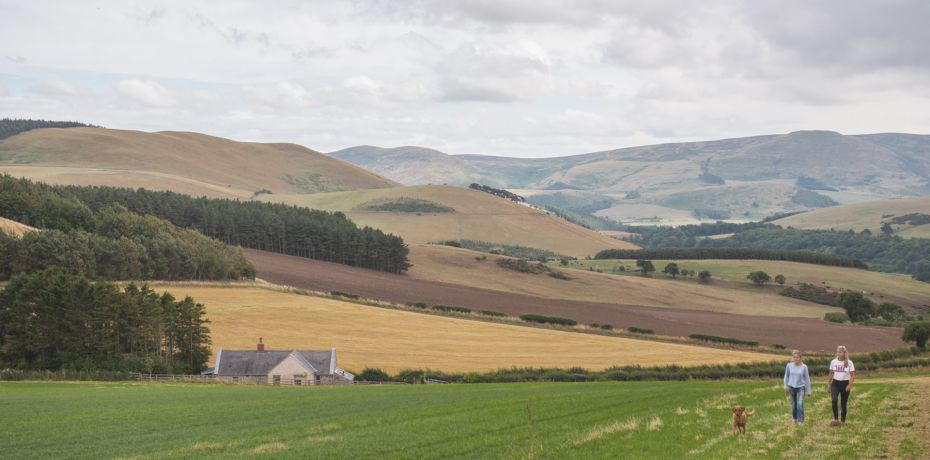 Barley Hill - Wild Plum Cottages